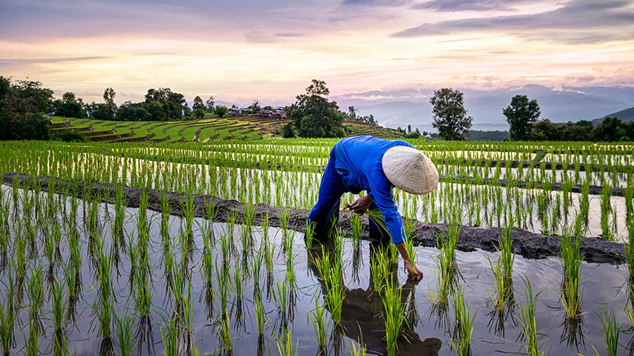 Vietnam Introduces New Labor Code for 2021